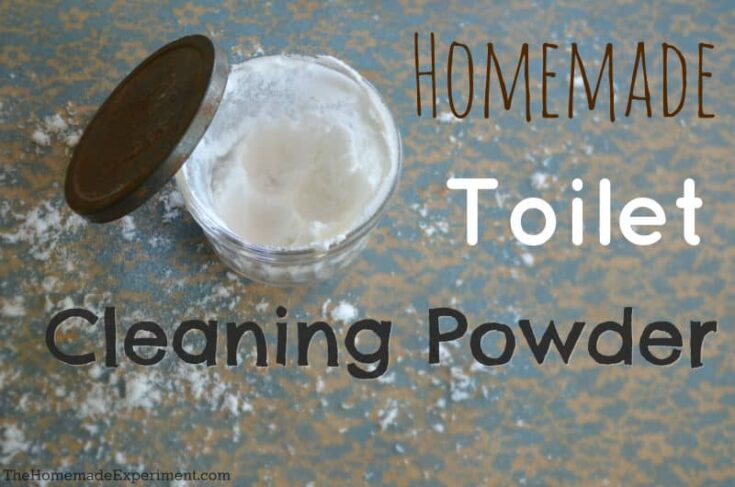 Homemade DIY Toilet Bowl Cleaner