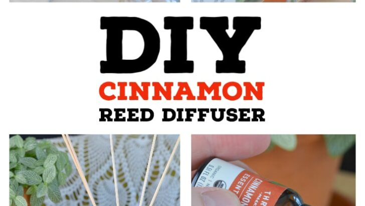 DIY Cinnamon Reed Diffuser